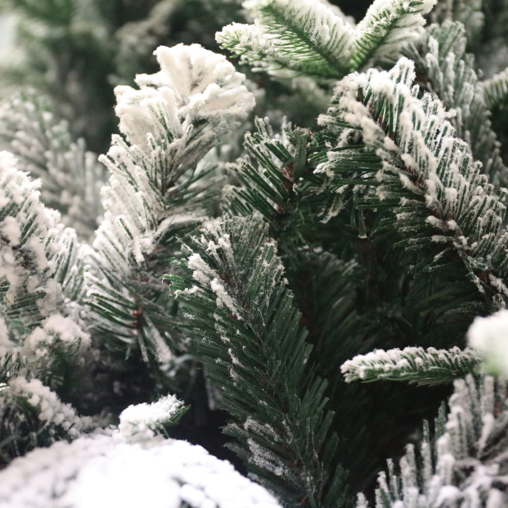 Alpine Snowy Spruce Christmas Tree 8ft Christmas Trees UK